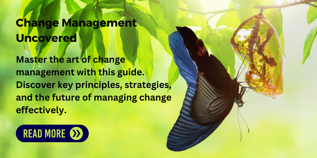 Change Management Uncovered - Stefan Cvejn